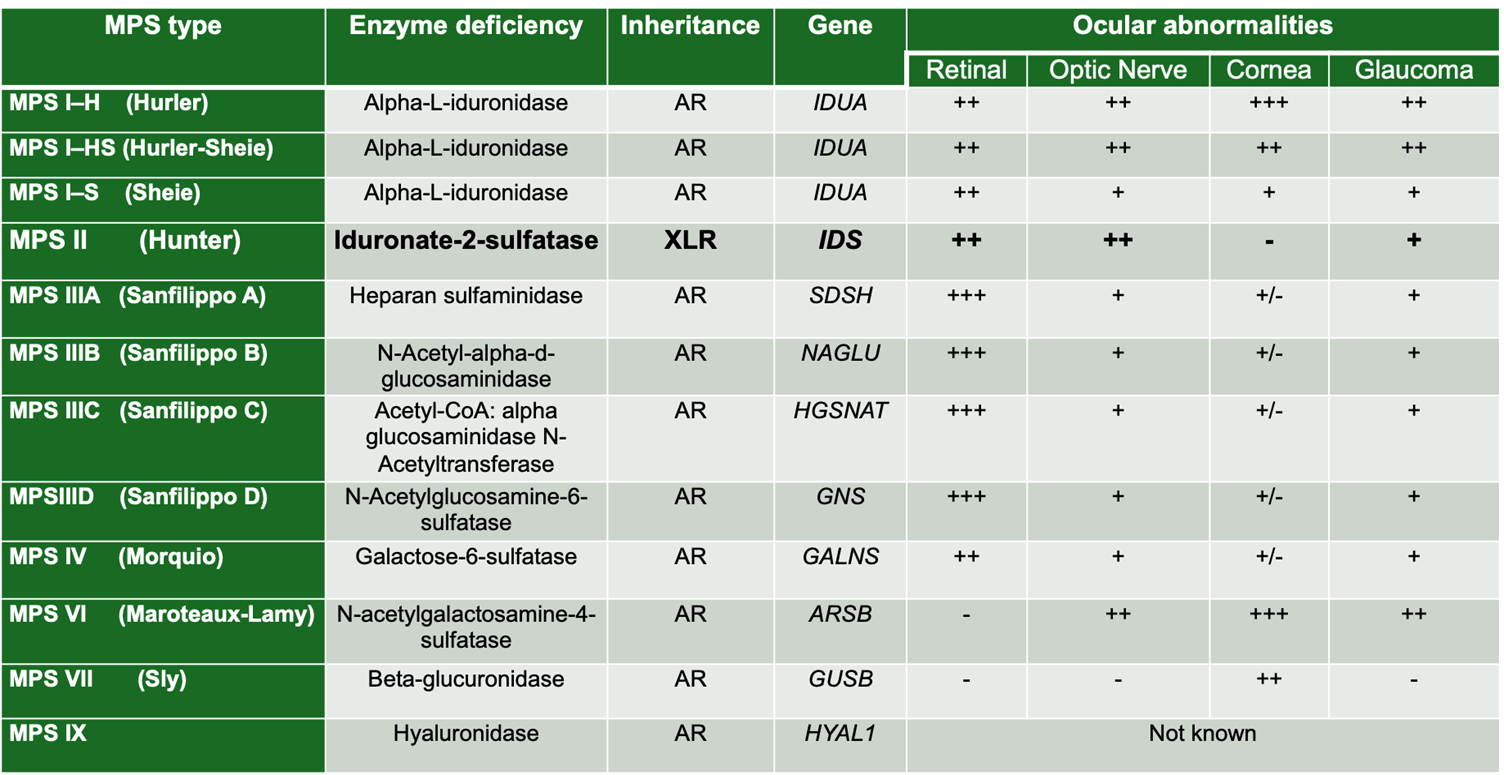 An Introduction to the Ocular Mucopolysaccharidoses - Journal of the ...